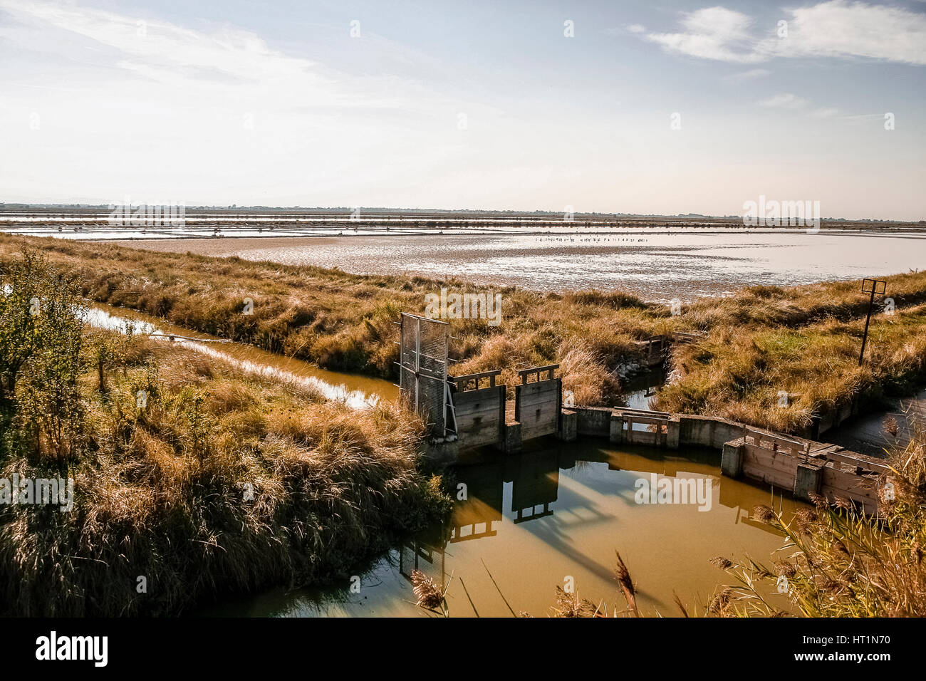 Italy Emilia Romagna Cervia salt flats Stock Photo - Alamy