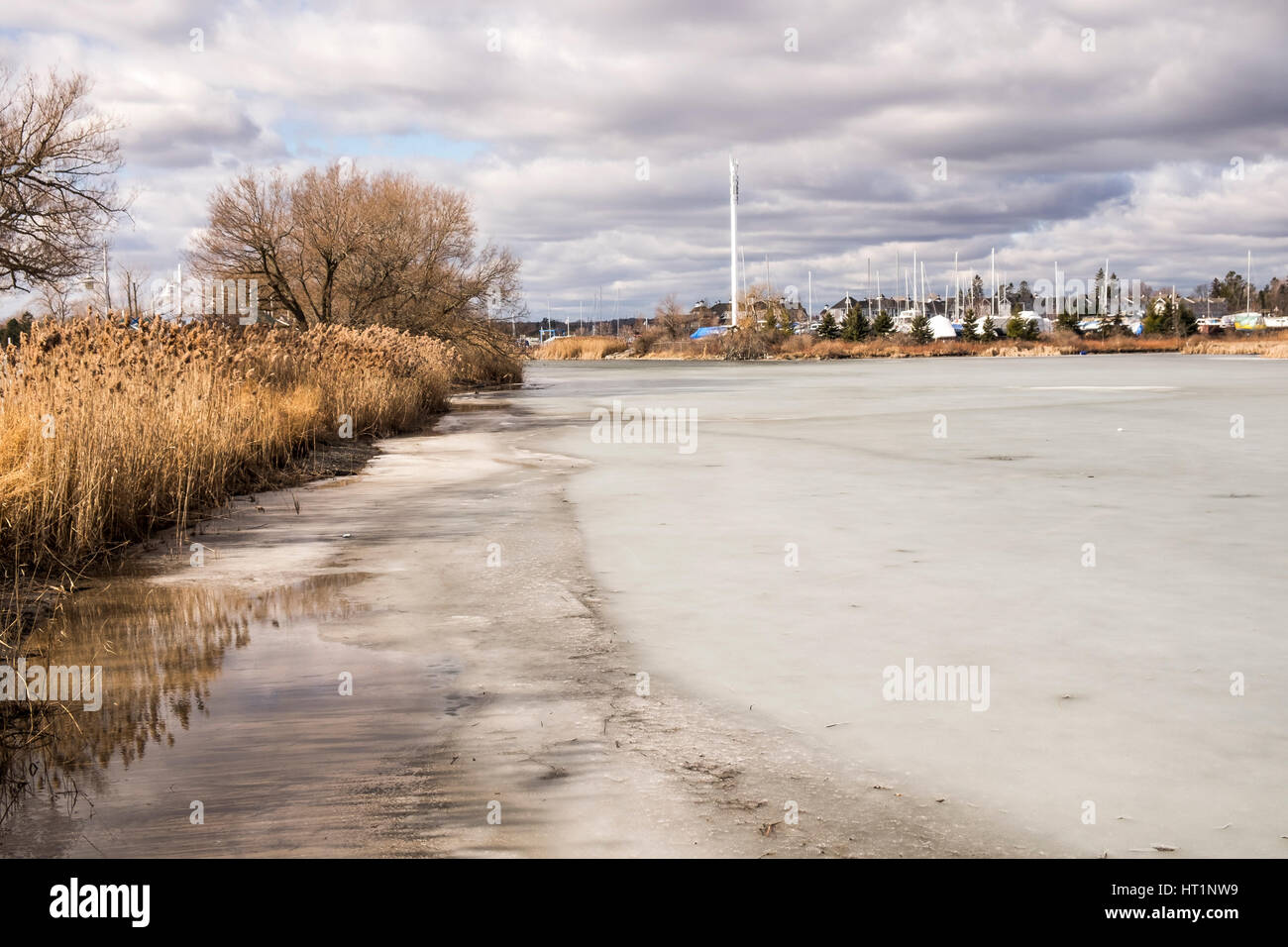Looking out over a frozen waterway dried brown rushes on the banks and ...