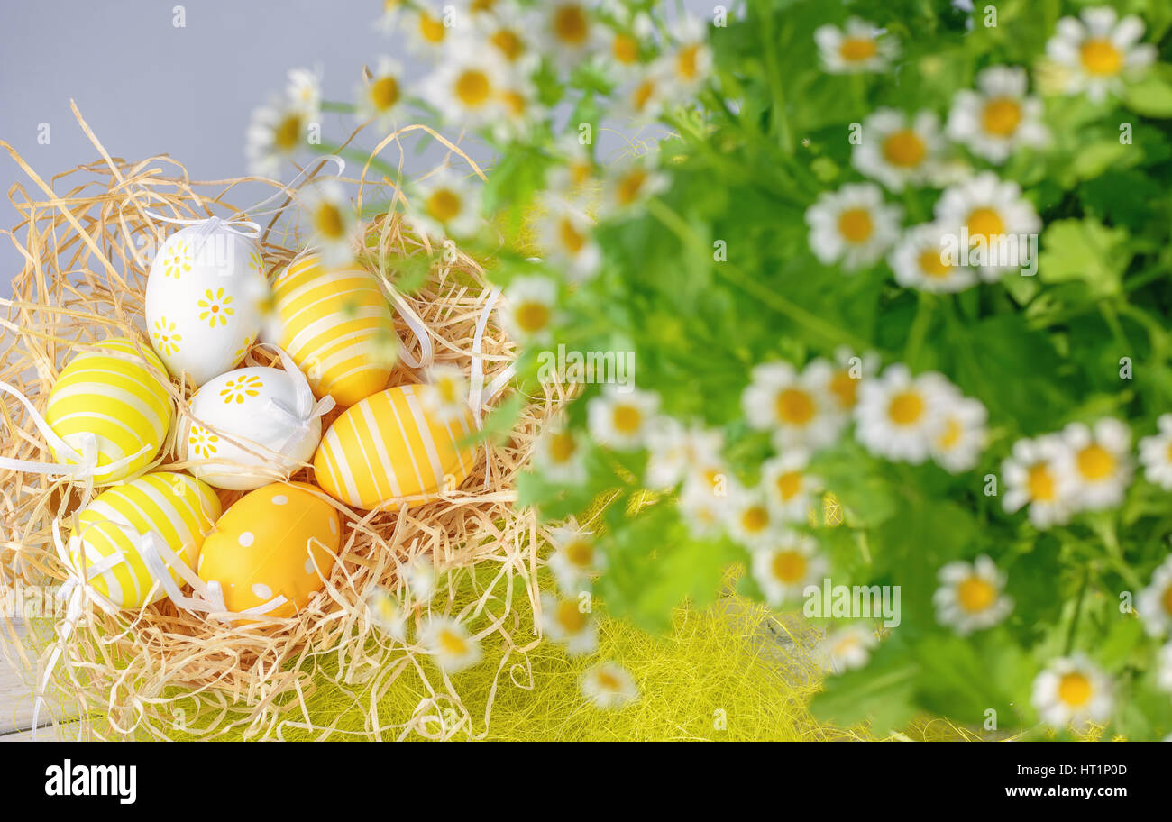 Daisies and Easter eggs in the background Stock Photo - Alamy