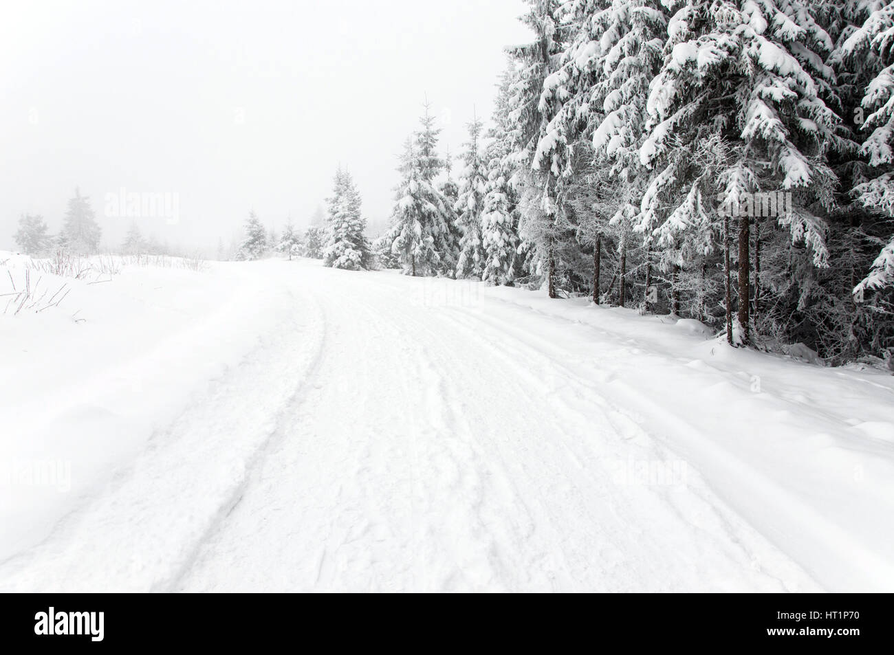 Snowy road in the forest Stock Photo - Alamy