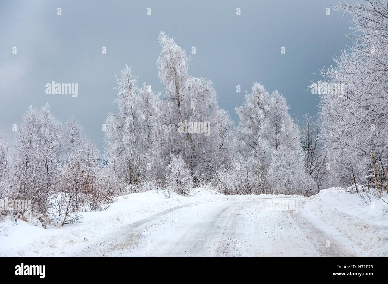 Frosty winter landscape Stock Photo - Alamy