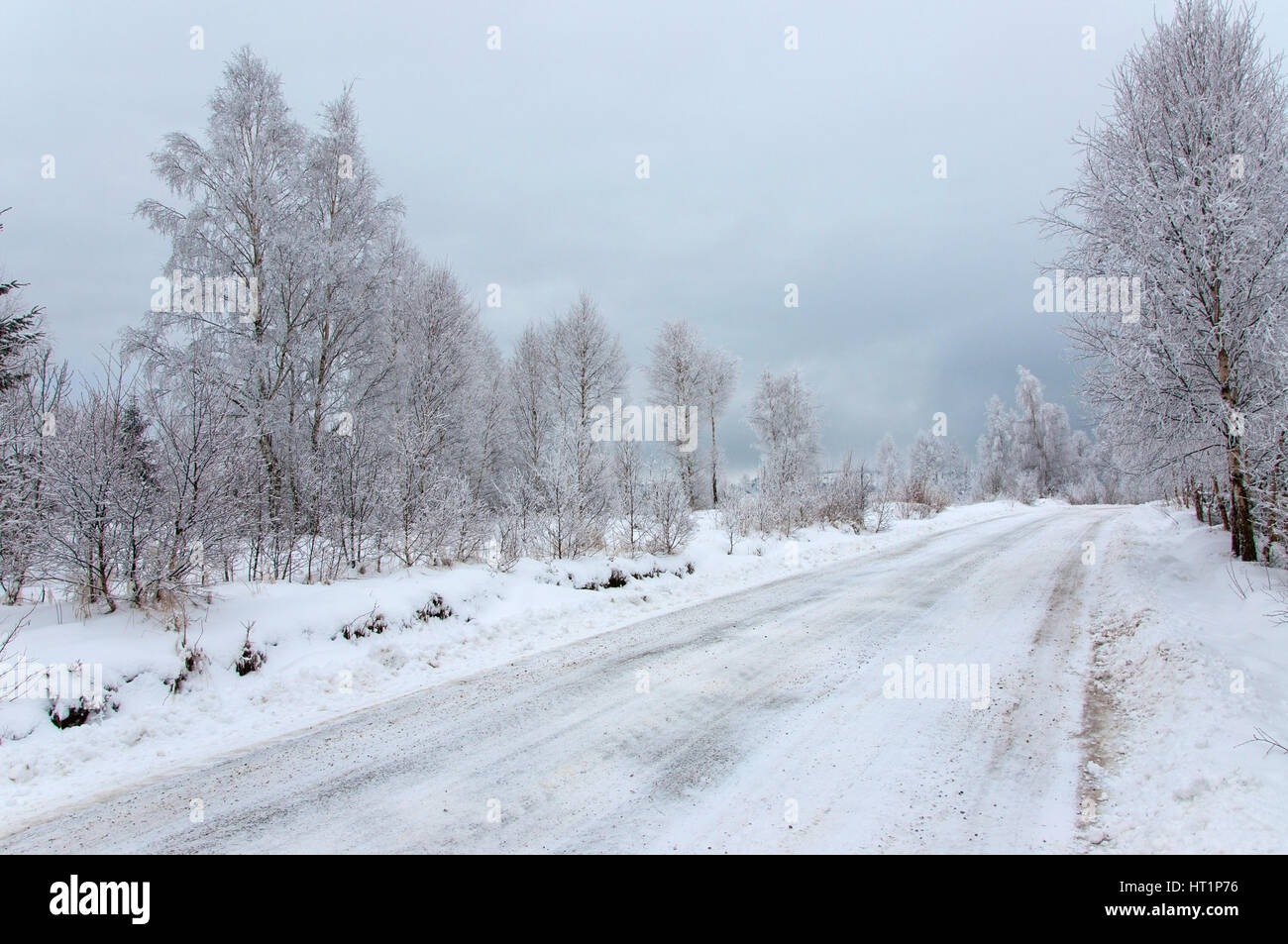 Frosty winter road Stock Photo - Alamy