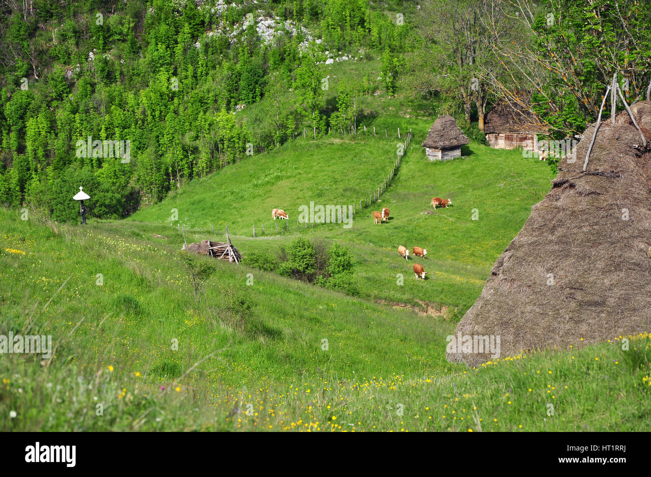 Farmer mountain europe stable hi-res stock photography and images - Alamy