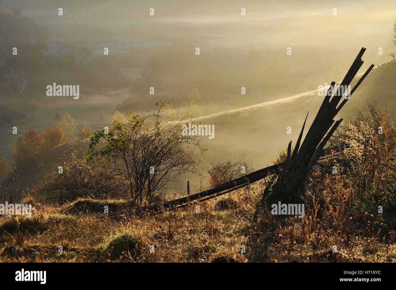 Morning mist in the countryside Stock Photo - Alamy