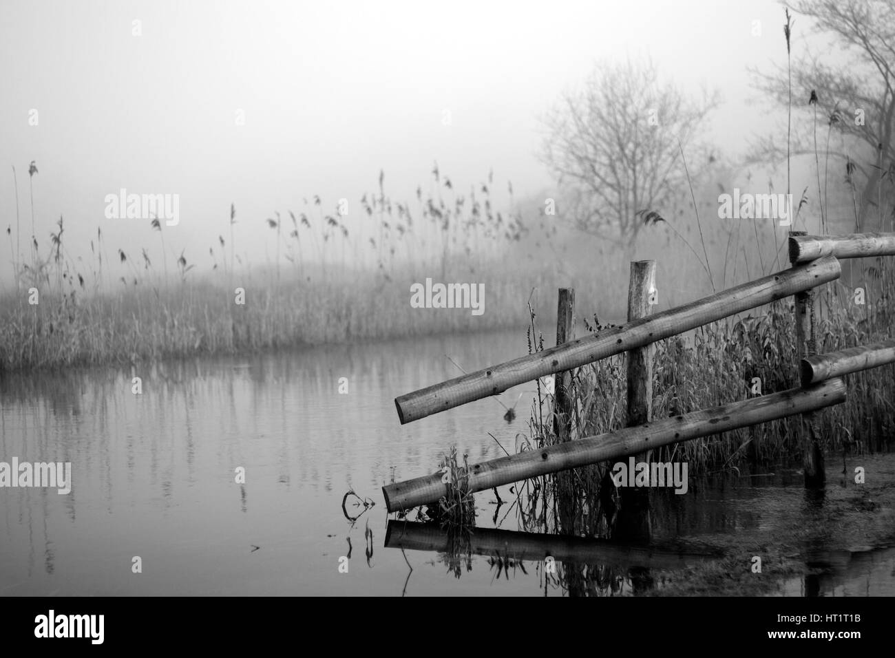 River itchen flood hi-res stock photography and images - Alamy