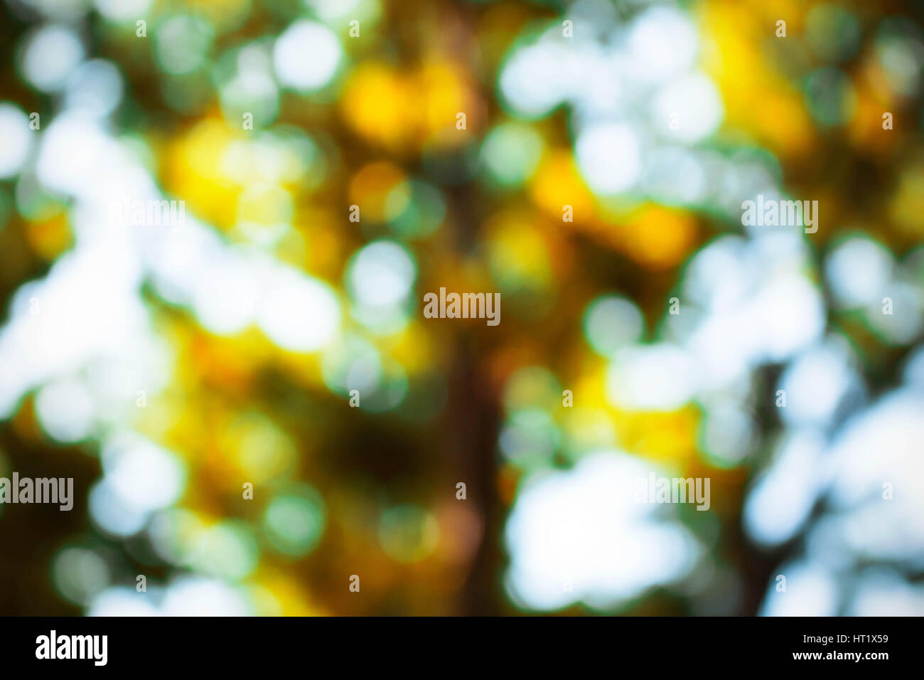 Bokeh pictures from the daylight with beautiful colors Stock Photo - Alamy