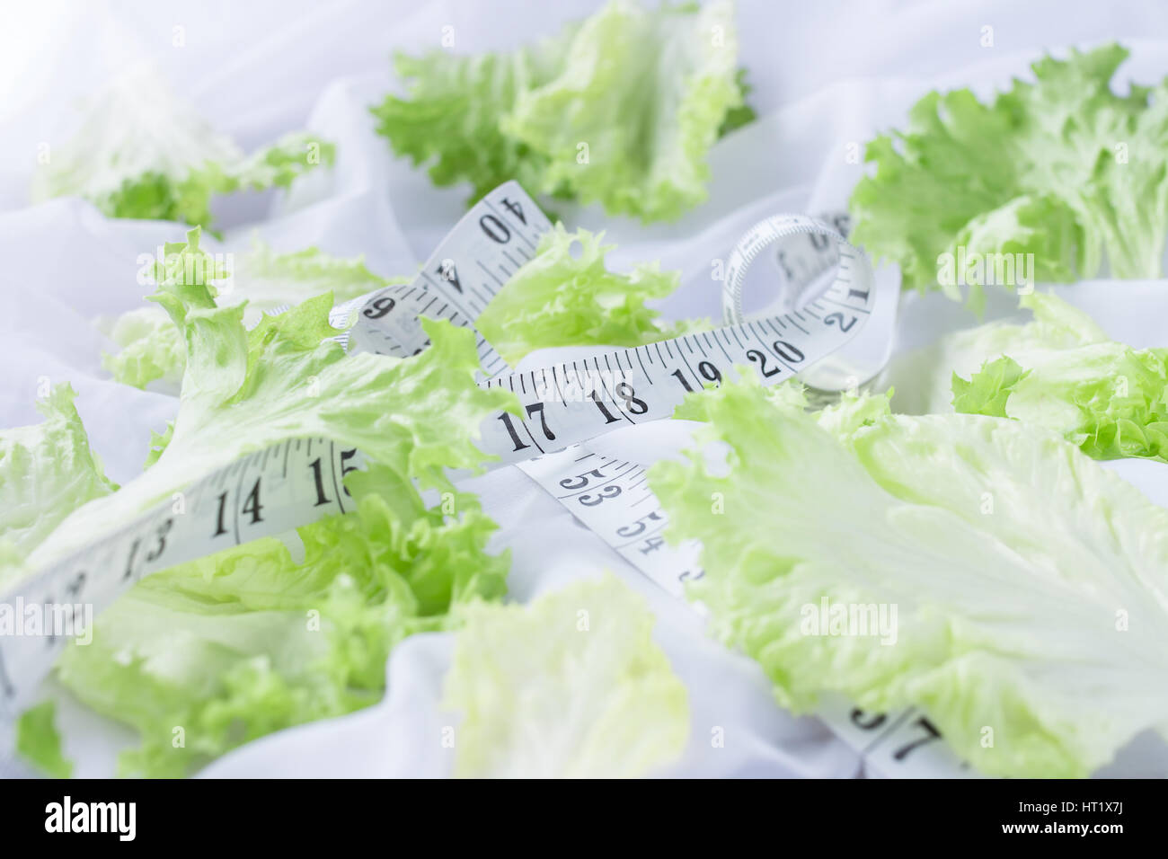 Lettuce leaves on white sheets with tape measure swirling around Stock ...