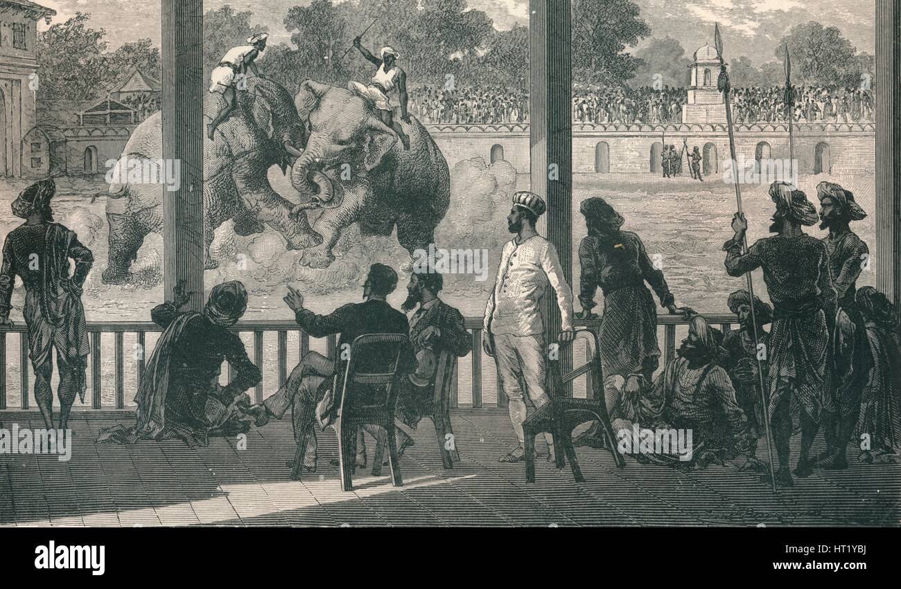 Man fight elephant hi-res stock photography and images - Alamy