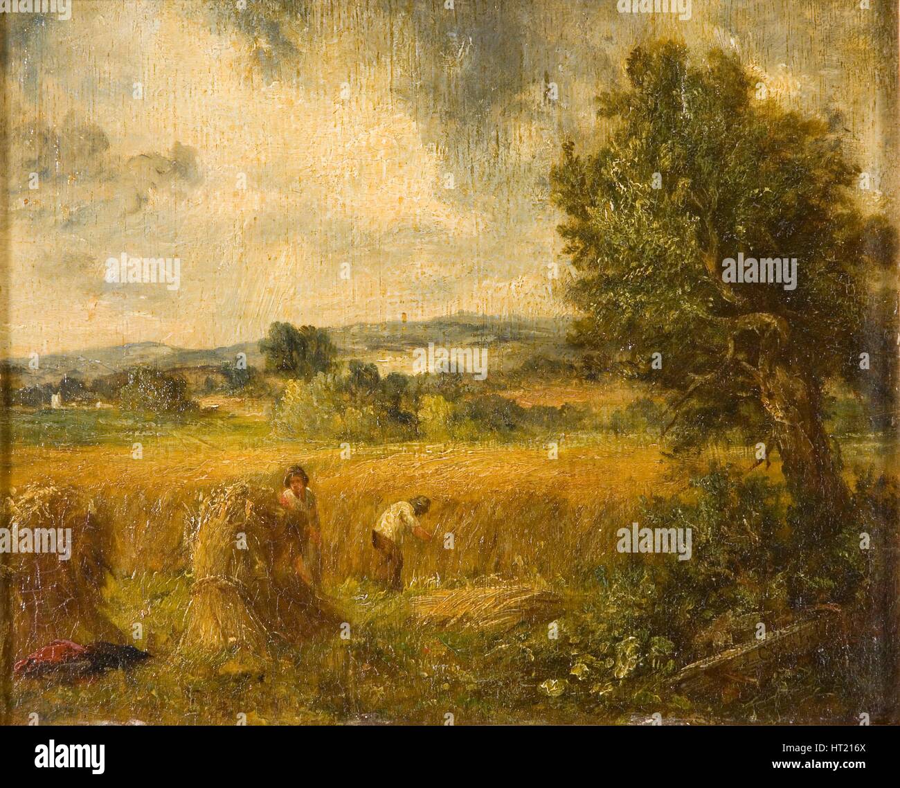 'A cornfield', 1796-1837. Artist: John Constable Stock Photo - Alamy