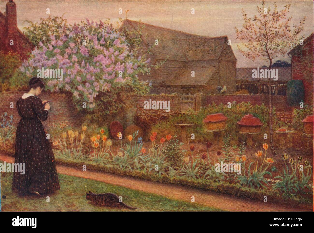 Fred walker hi-res stock photography and images - Alamy