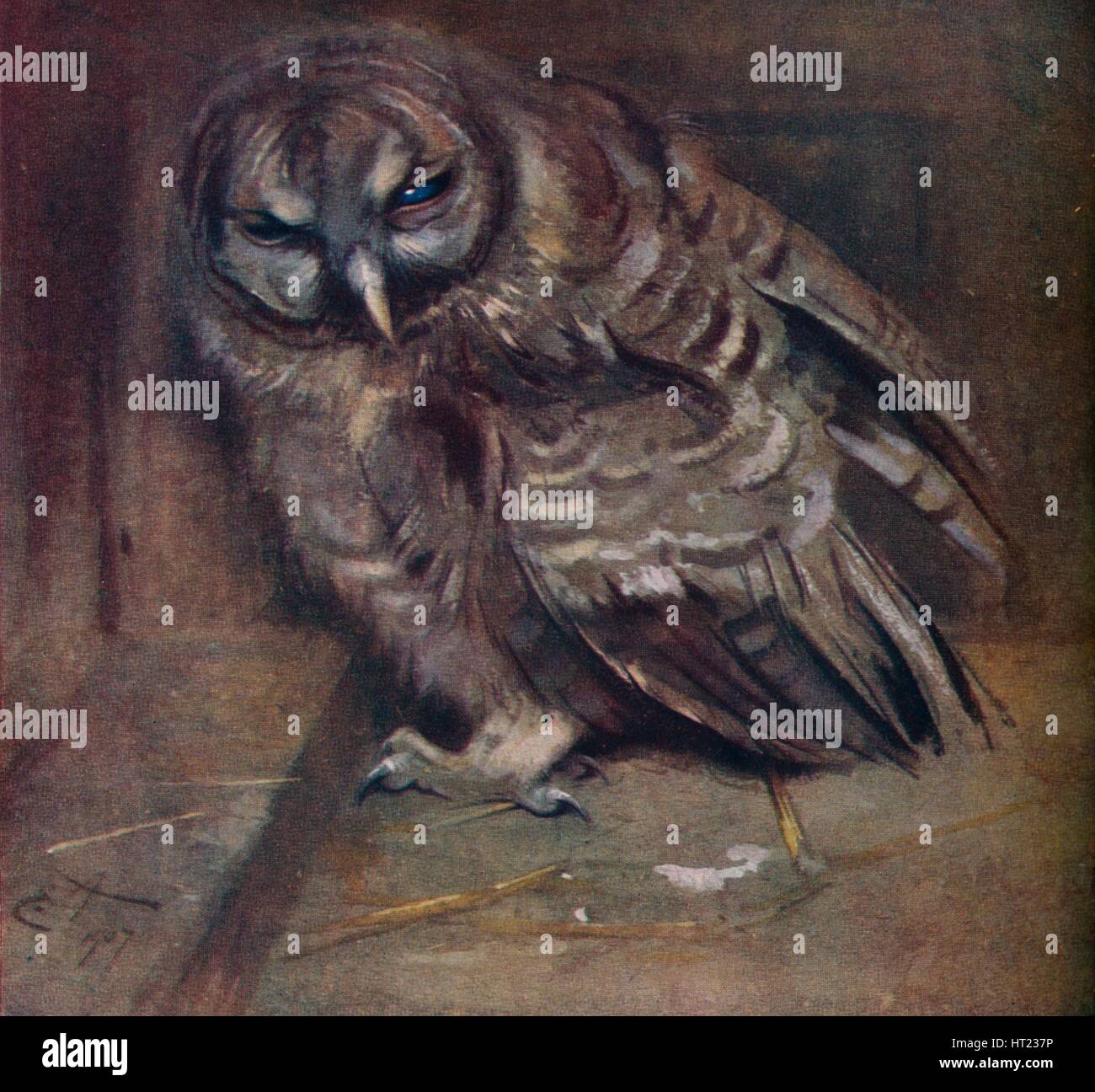 Edwin brown hi-res stock photography and images - Alamy