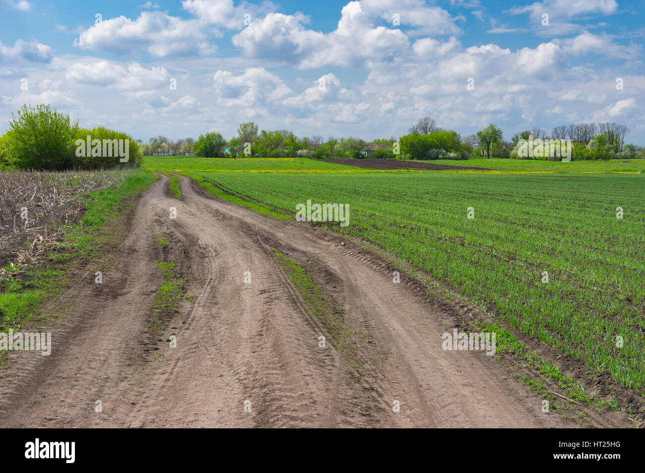 Spring landscape with an earth road near agricultural field in ...