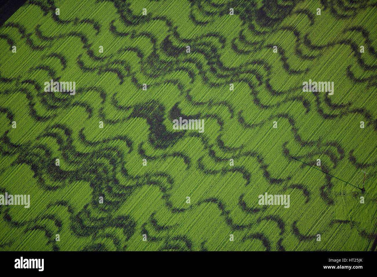 Patterned fens hi-res stock photography and images - Alamy