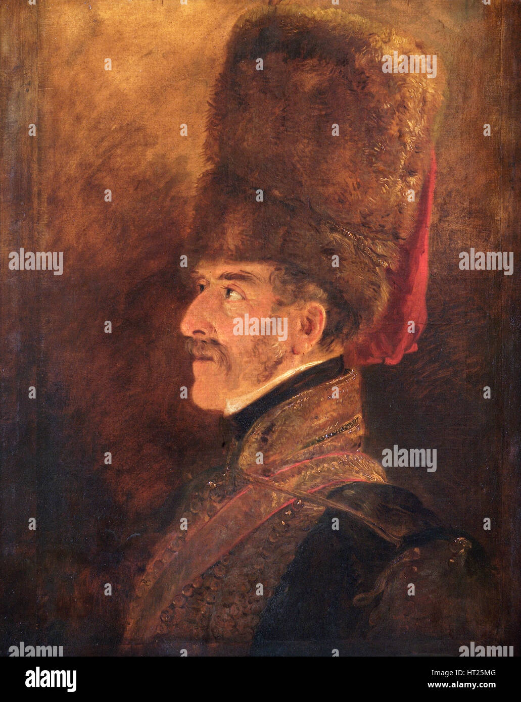 Portrait of Field Marshal Henry William Paget, 1st Marquess of Anglesey ...