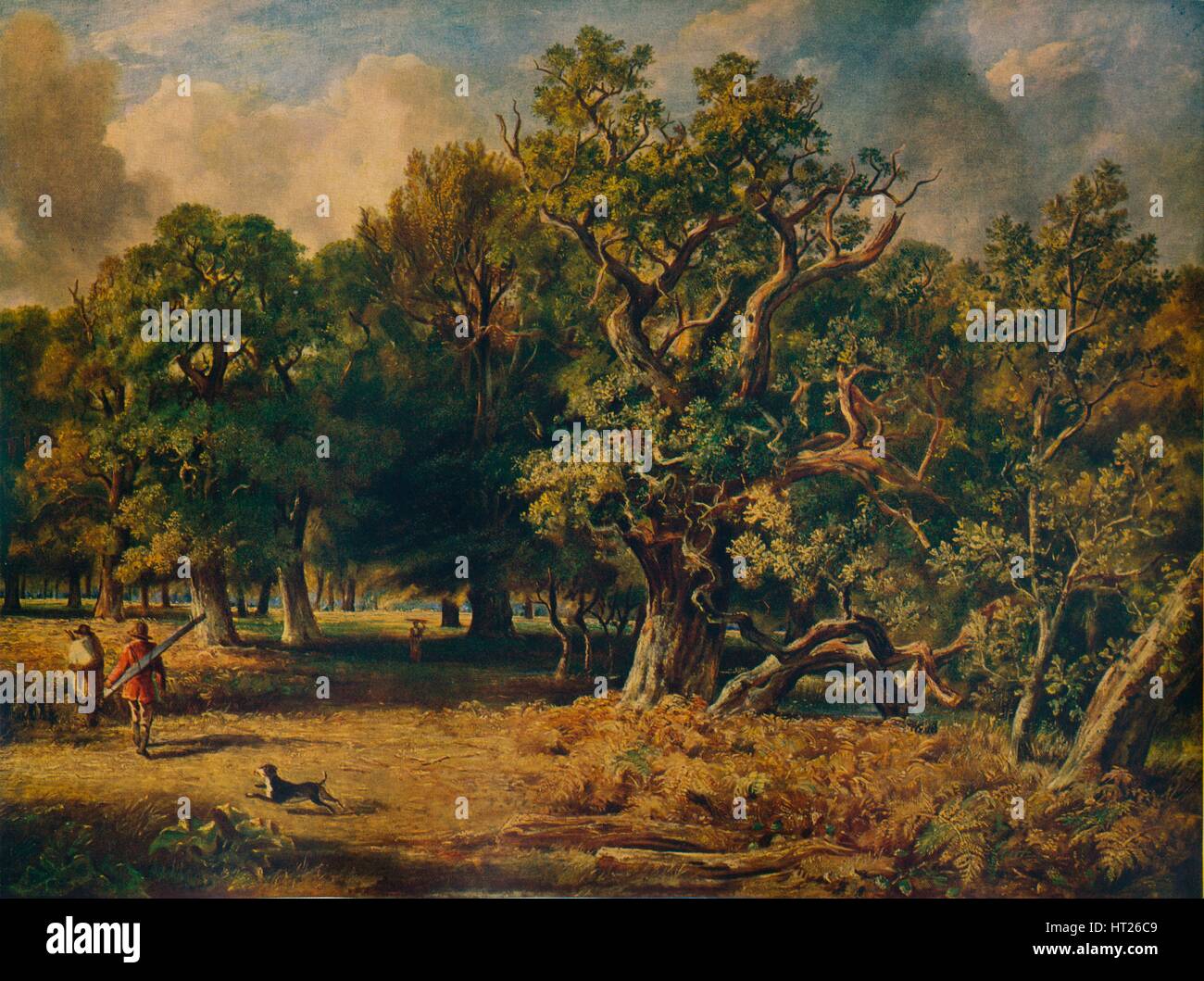 'Windsor Forest', c1835. Artist: James Stark Stock Photo - Alamy