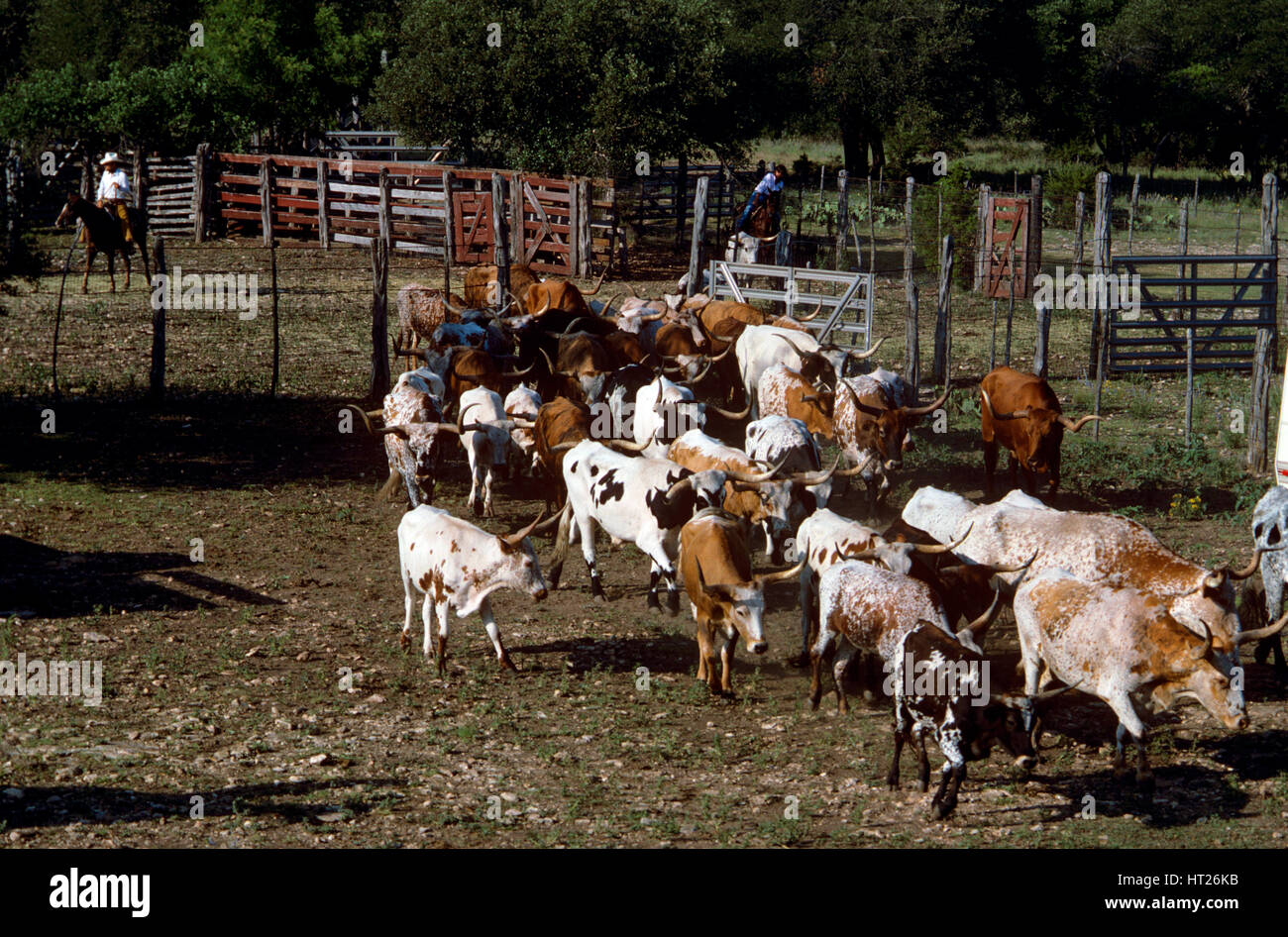 Hurding hi-res stock photography and images - Alamy