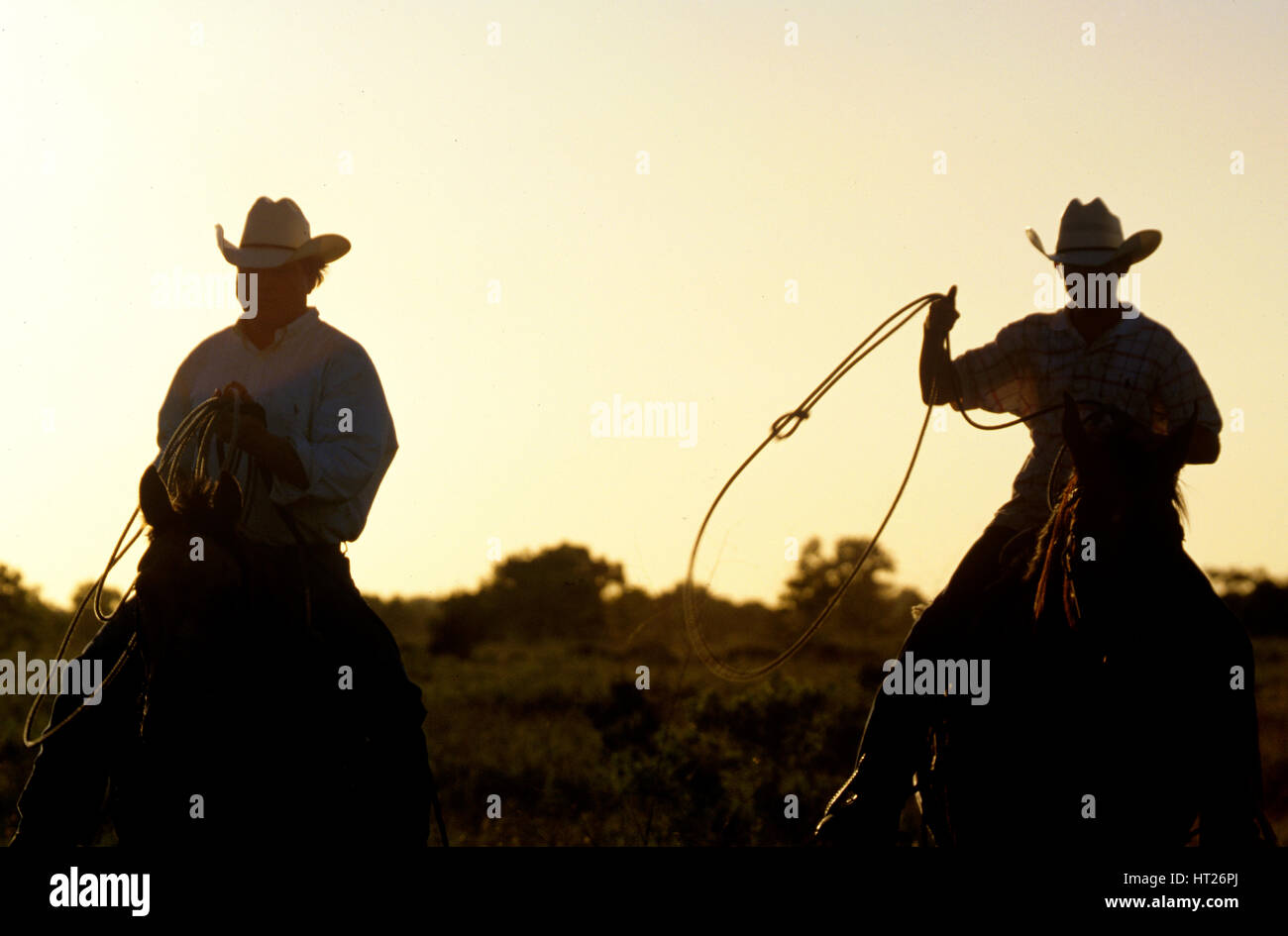 Two cowboys on horseback with lariats Stock Photo - Alamy