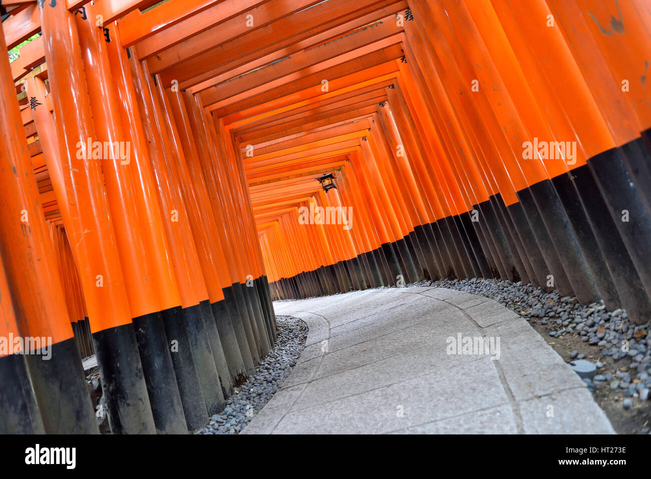 KYOTO, JAPAN - NOVEMBER 05, 2014: Wooden Torii at Fushimi Inari Taisha ...