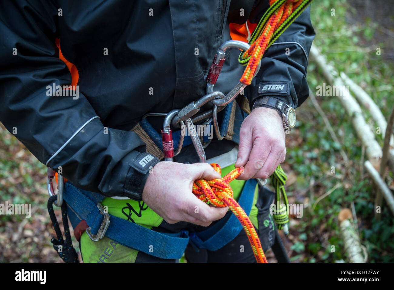 Coppicing High Resolution Stock Photography and Images - Alamy