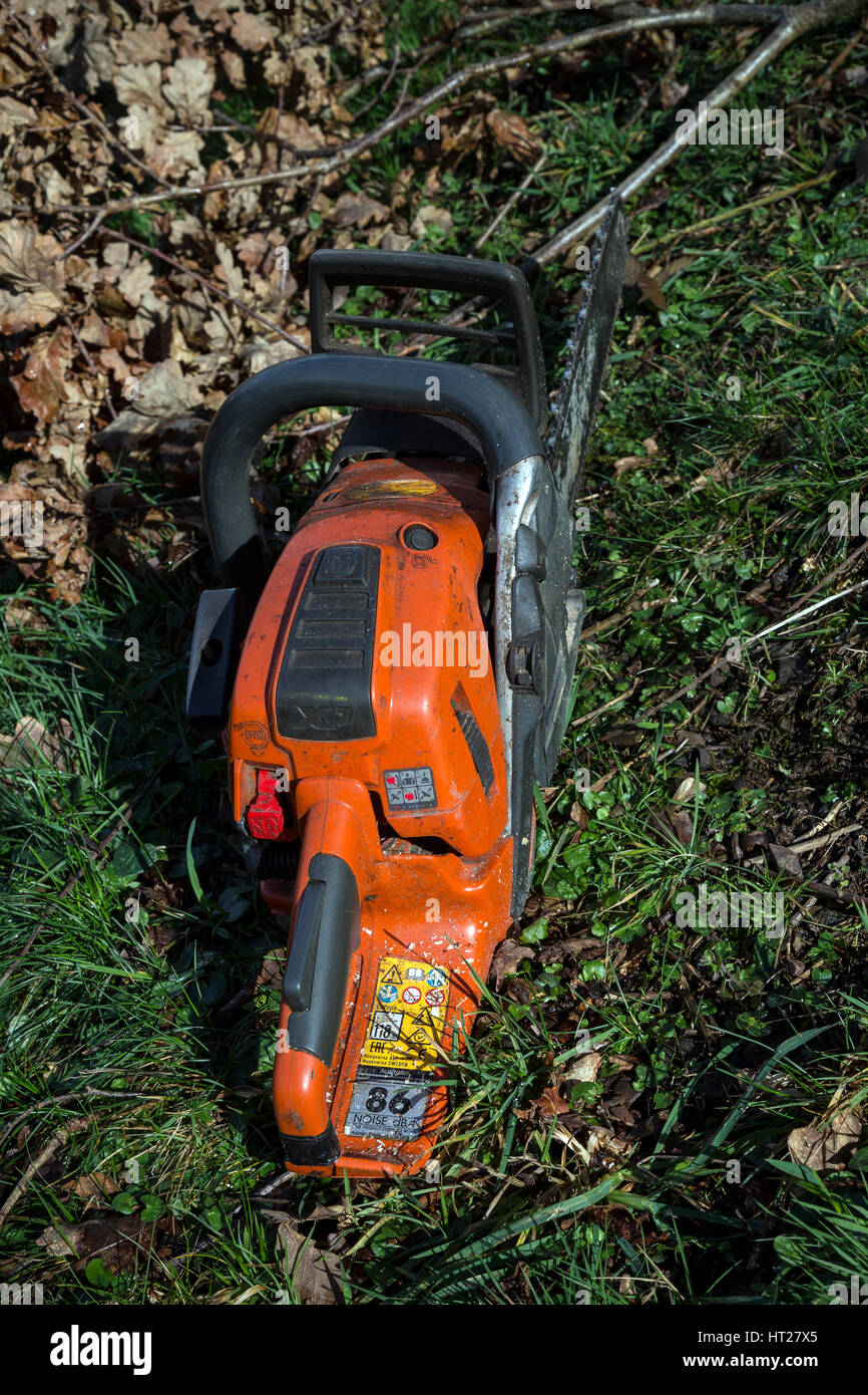 Tree surgeons equipment, Tree climber, arborist. Tree surgeons carry ...