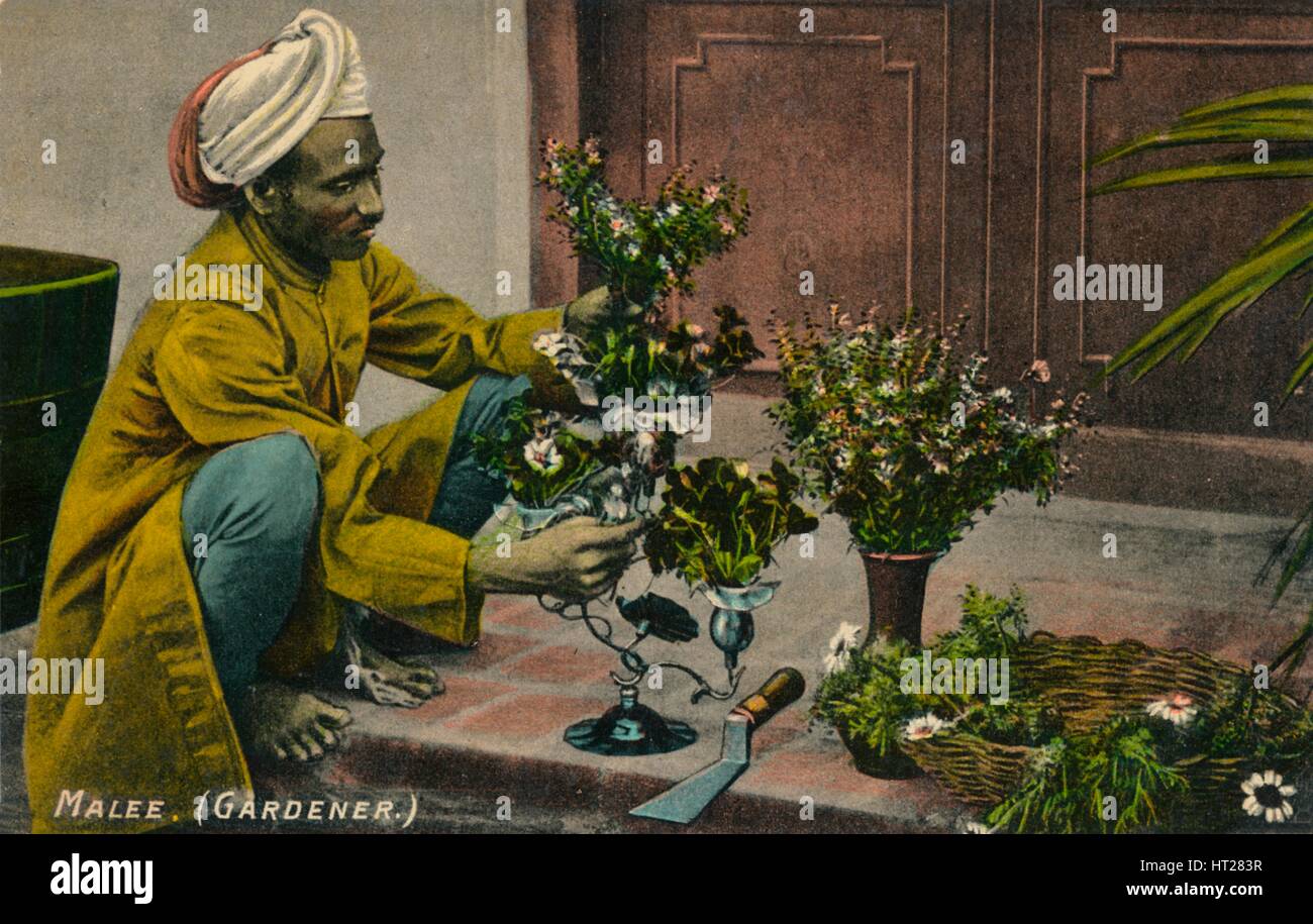 Malee hi-res stock photography and images - Alamy
