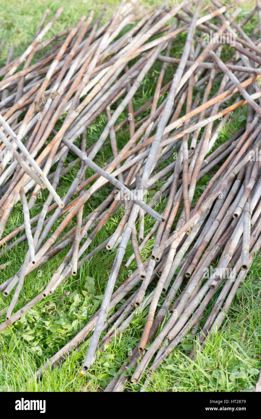 Pile of canes Stock Photo - Alamy