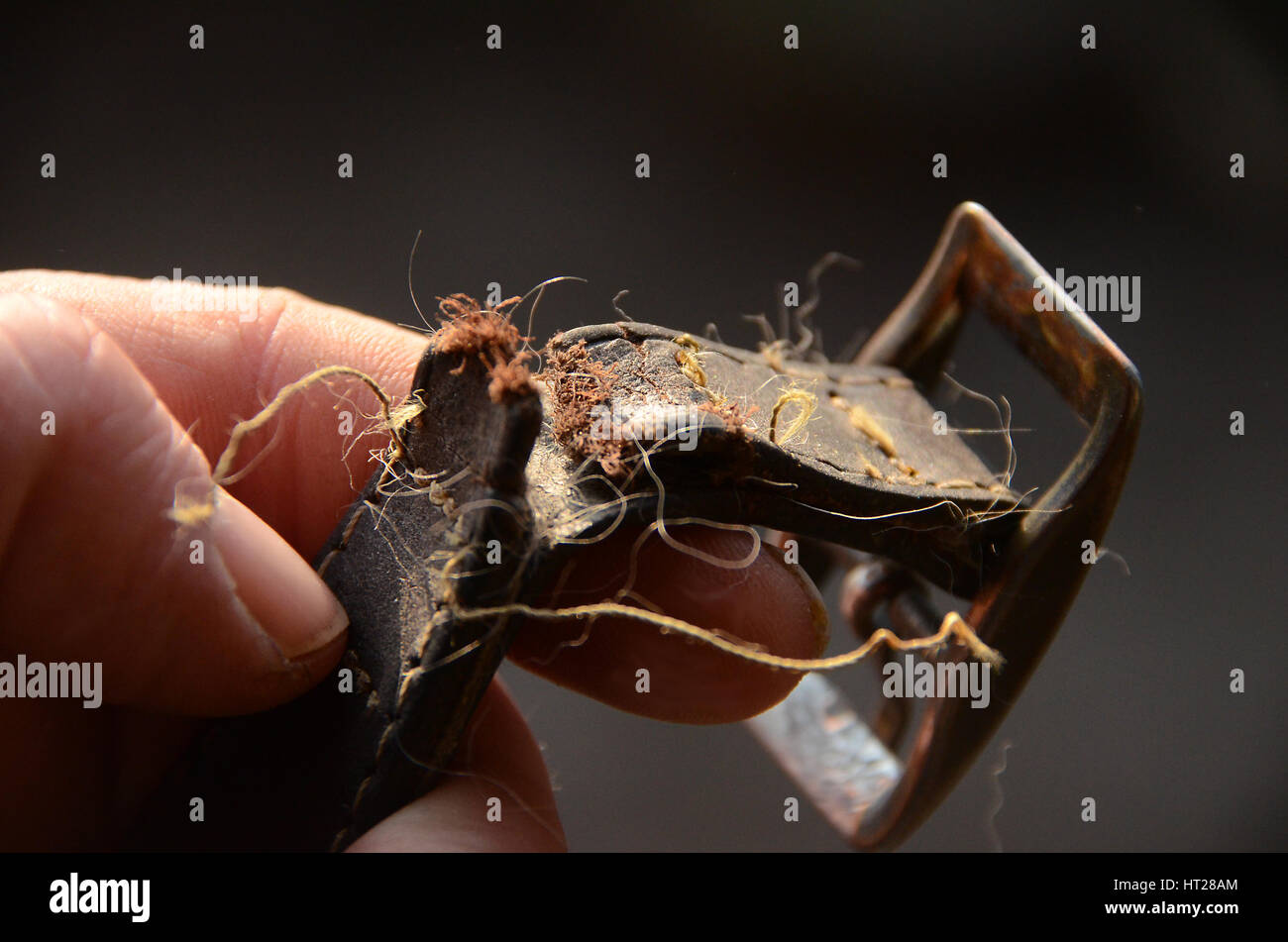 Broken neck hi-res stock photography and images - Alamy