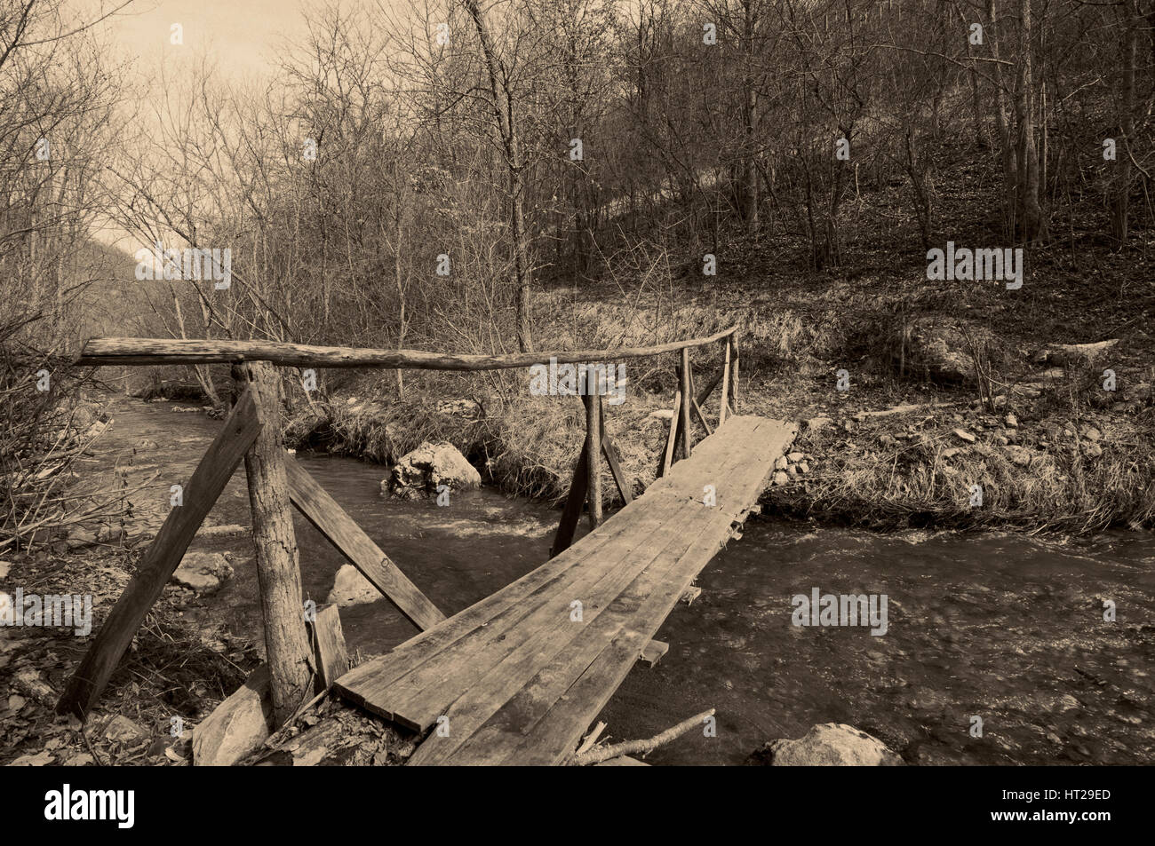 Old wooden bridge in forest hi-res stock photography and images - Alamy