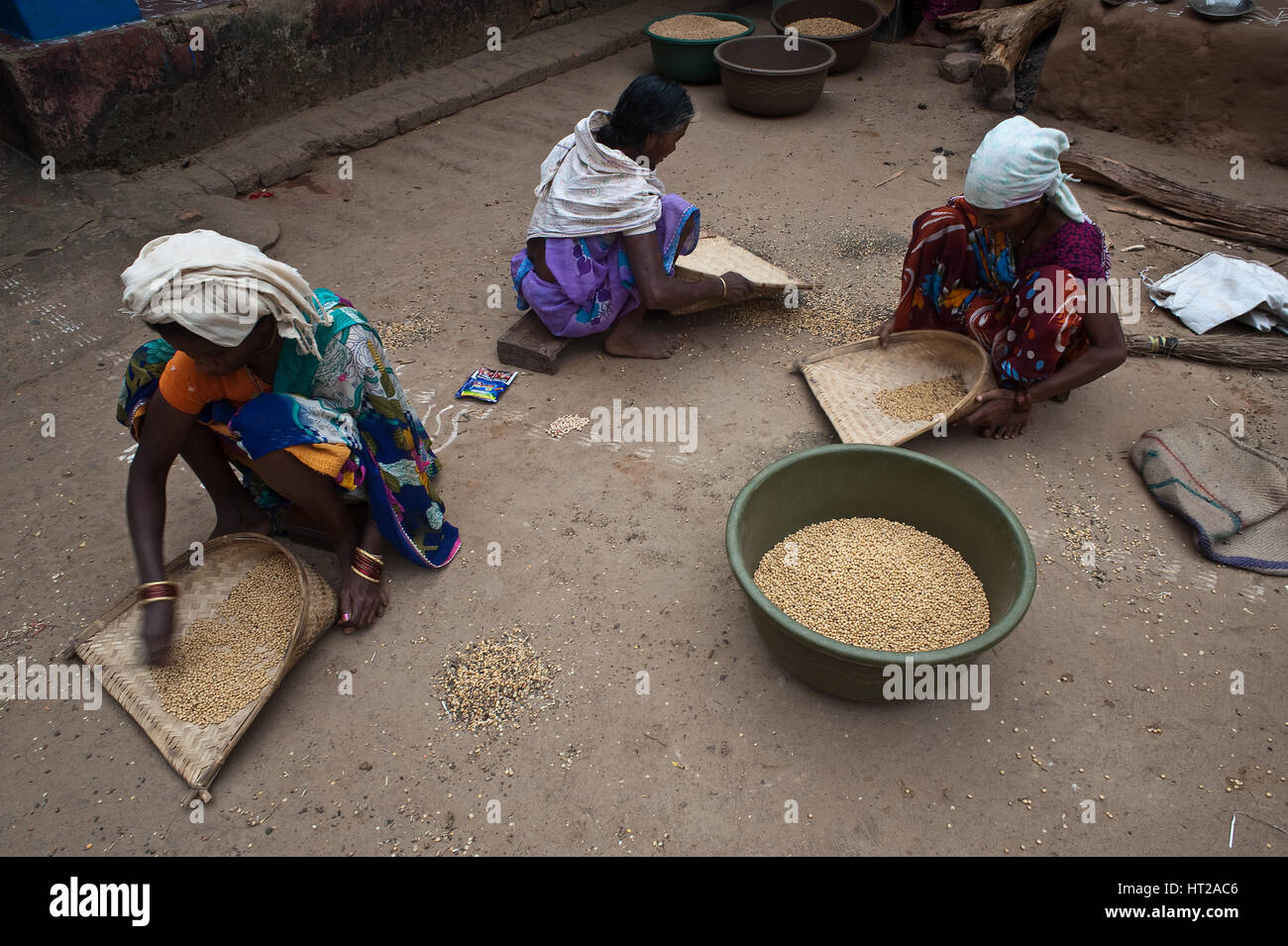 Sorting Peas High Resolution Stock Photography and Images - Alamy