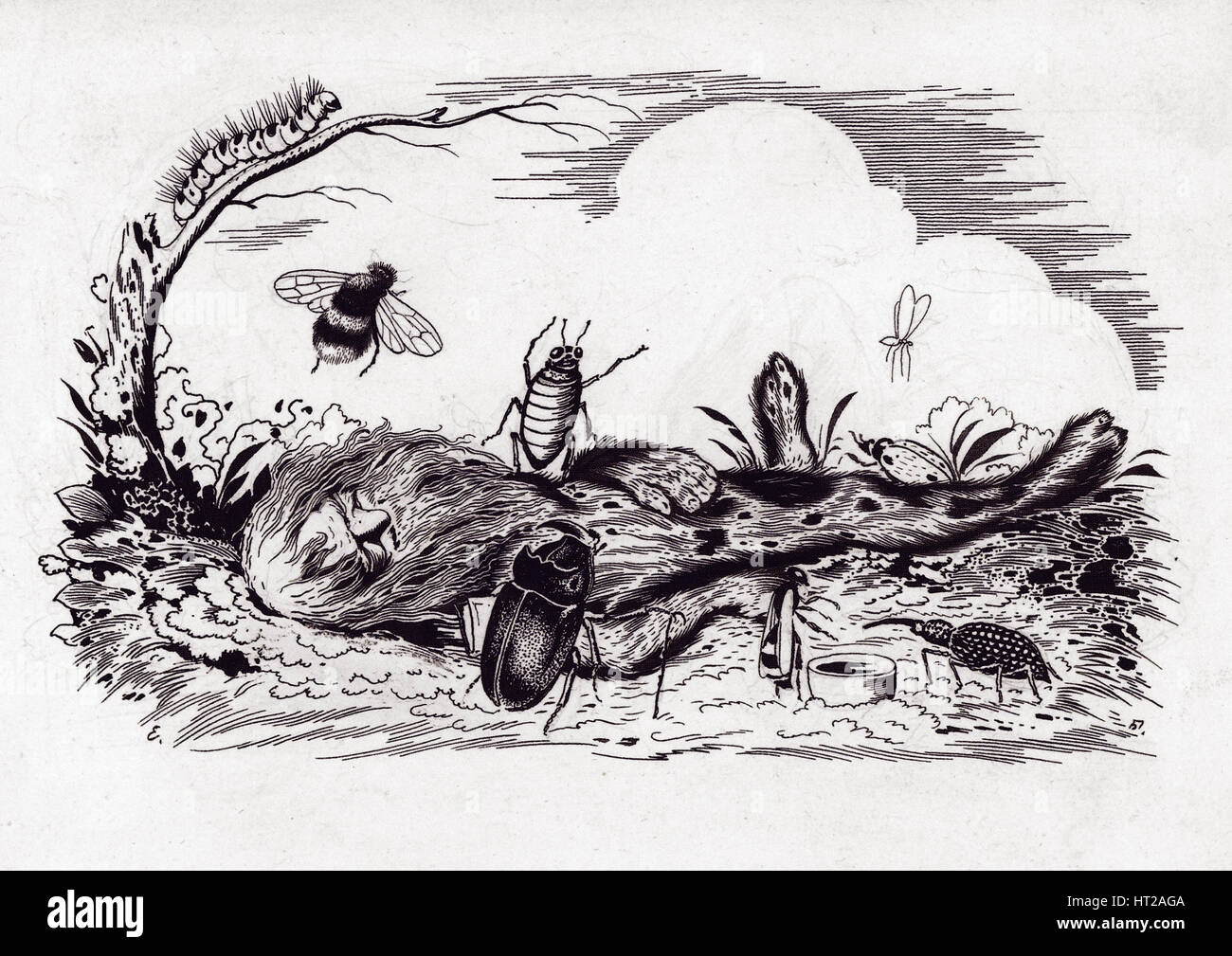 Bolotnik. Artist: Belukha, Yevgeny Dmitrievich (1889-1943 Stock Photo ...