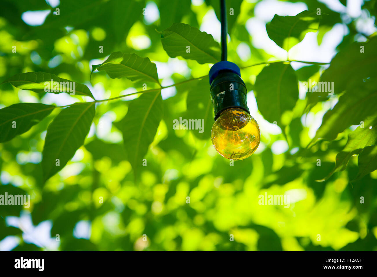 The light on the tree on the background of foliage. Saving electricity ...