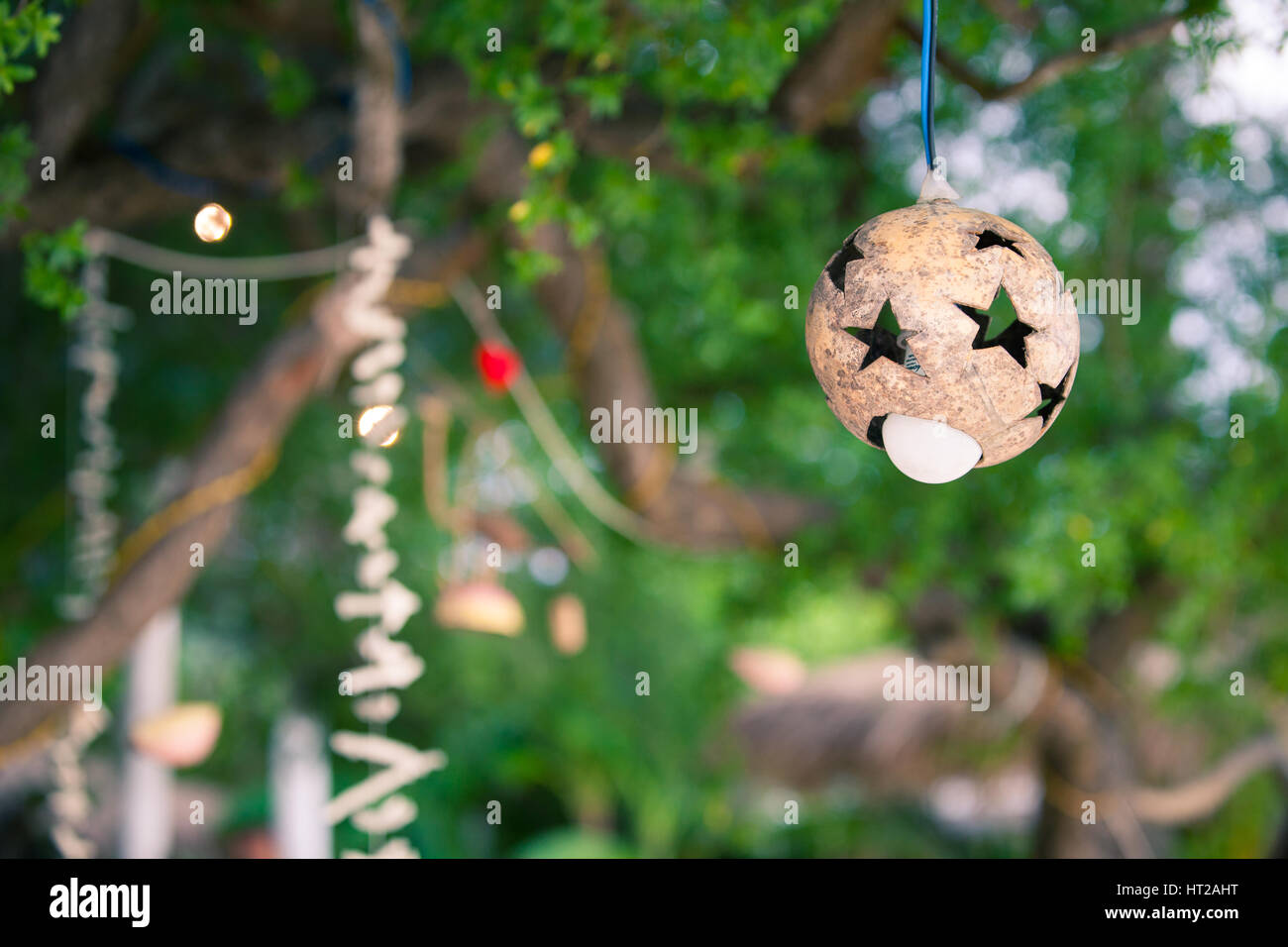 Coconut spider hi-res stock photography and images - Alamy