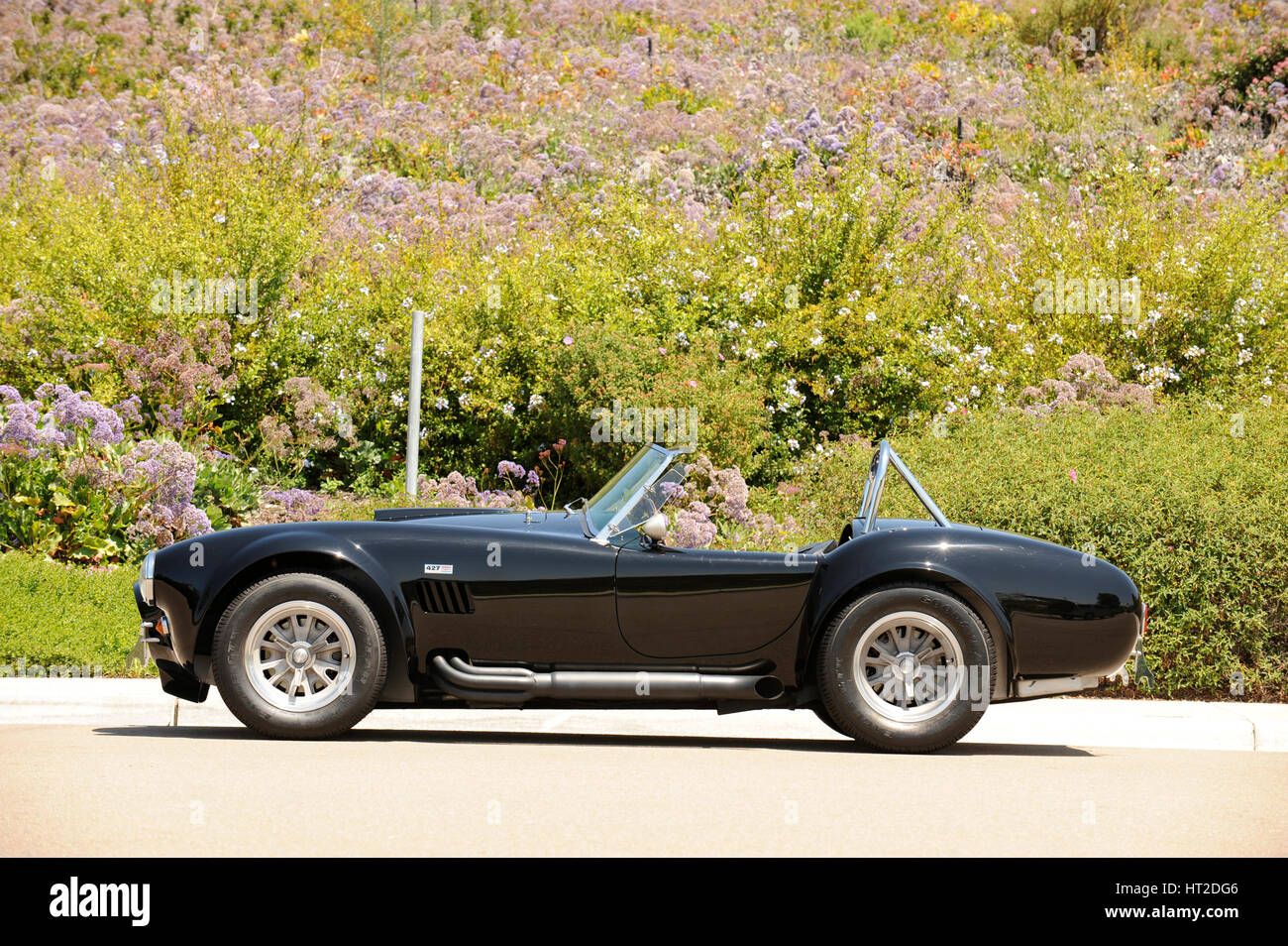 AC Cobra 427 1966. Artist: Simon Clay Stock Photo - Alamy