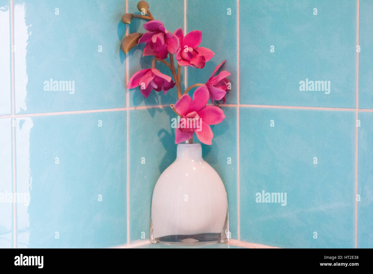 Toilet vase hi-res stock photography and images - Alamy