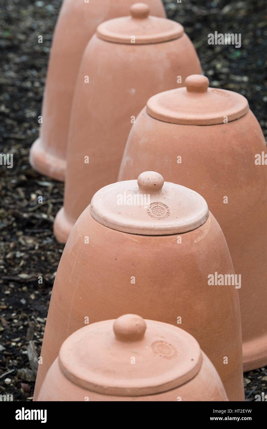 Rhubarb forcer pot hi-res stock photography and images - Alamy