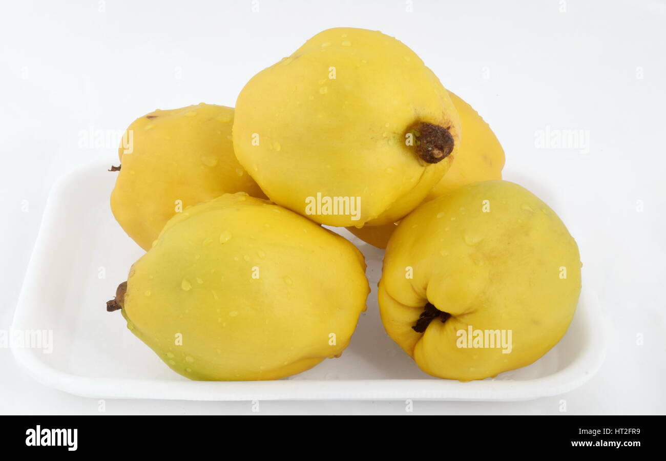 Large ripe yellow quince isolated on white backgrounds Stock Photo - Alamy