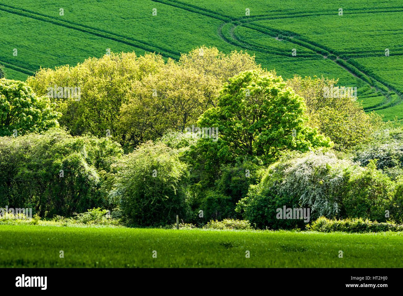 Lit paths hi-res stock photography and images - Alamy