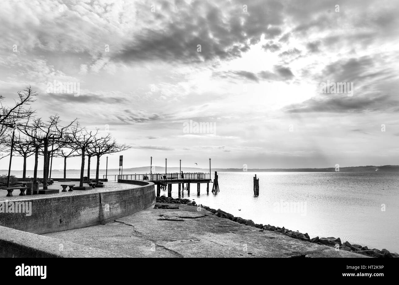 Winter landscape on grey Black and White Stock Photos & Images - Alamy