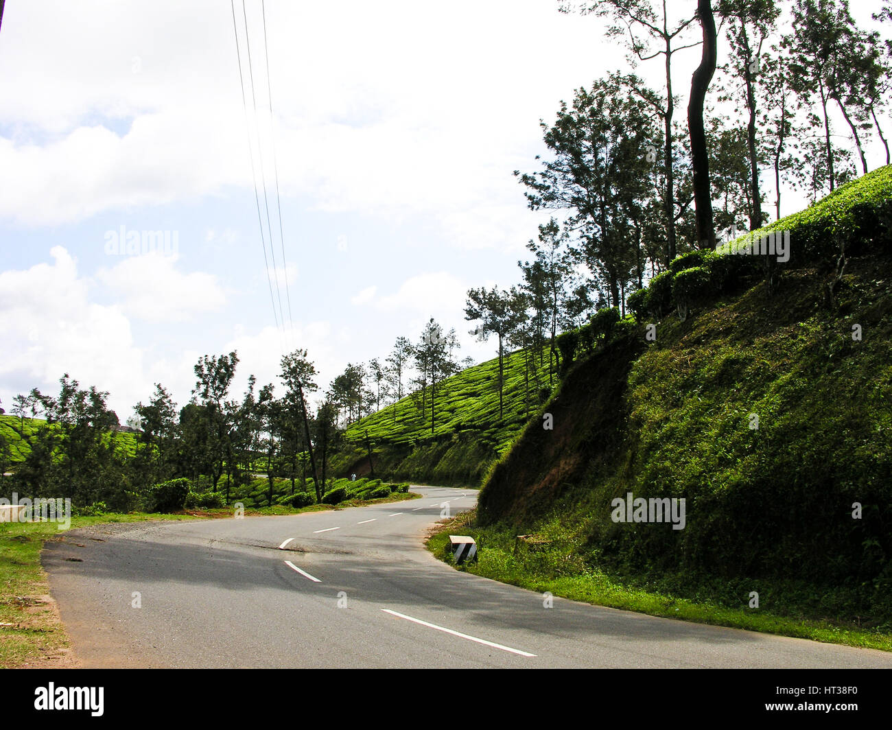 Tea Gardens at Ooty, India Stock Photo - Alamy