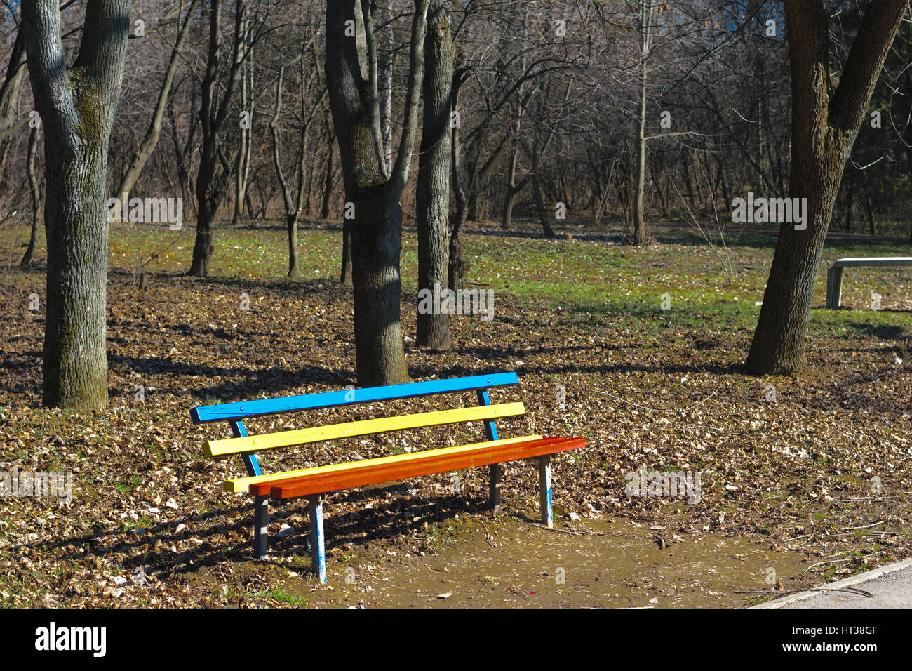 Vibrant colored red, yellow and blue bench, midday in spring time ...