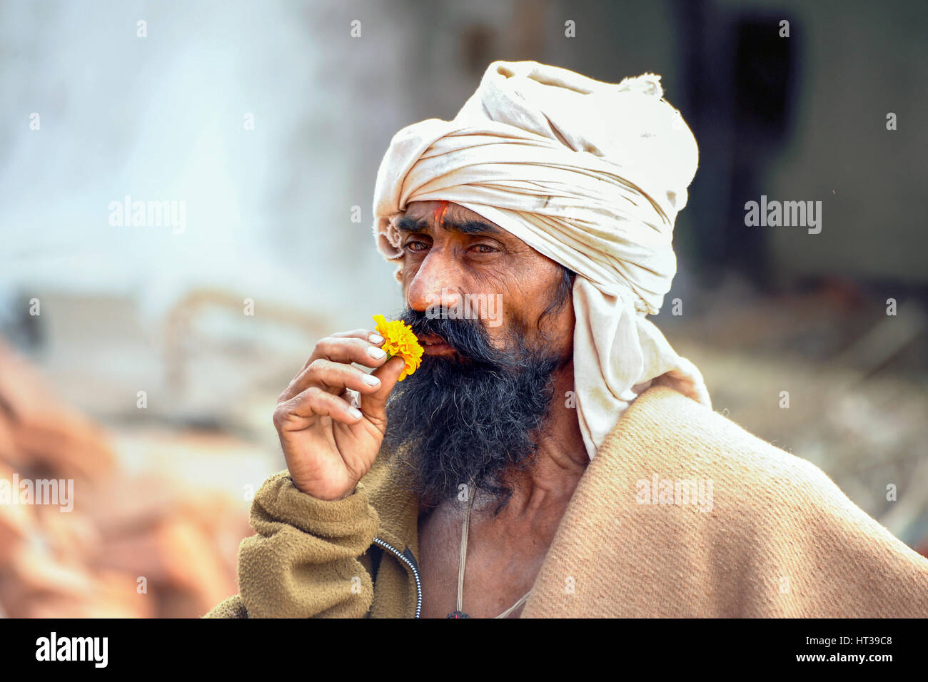 Indian smells hi-res stock photography and images - Alamy