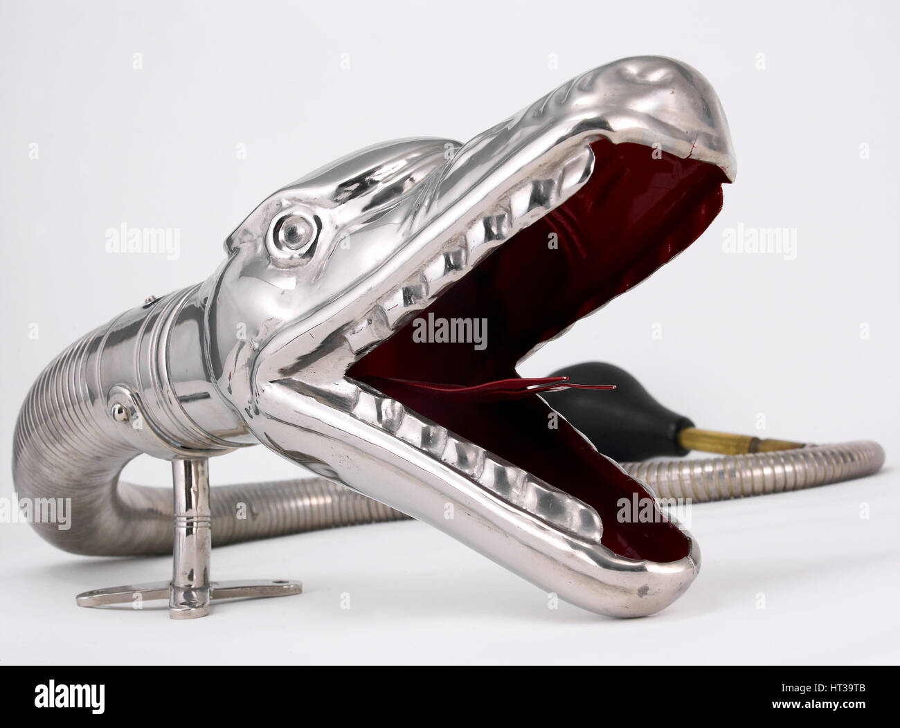 Silver boa hi-res stock photography and images - Alamy