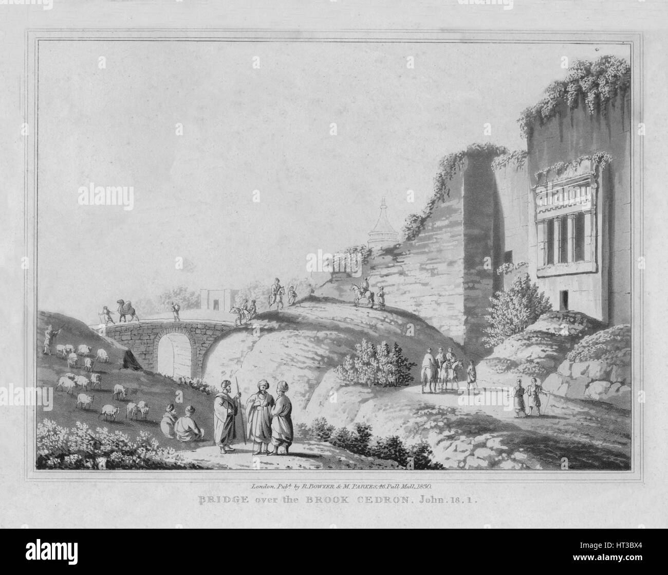 Sheep over Black and White Stock Photos & Images - Alamy