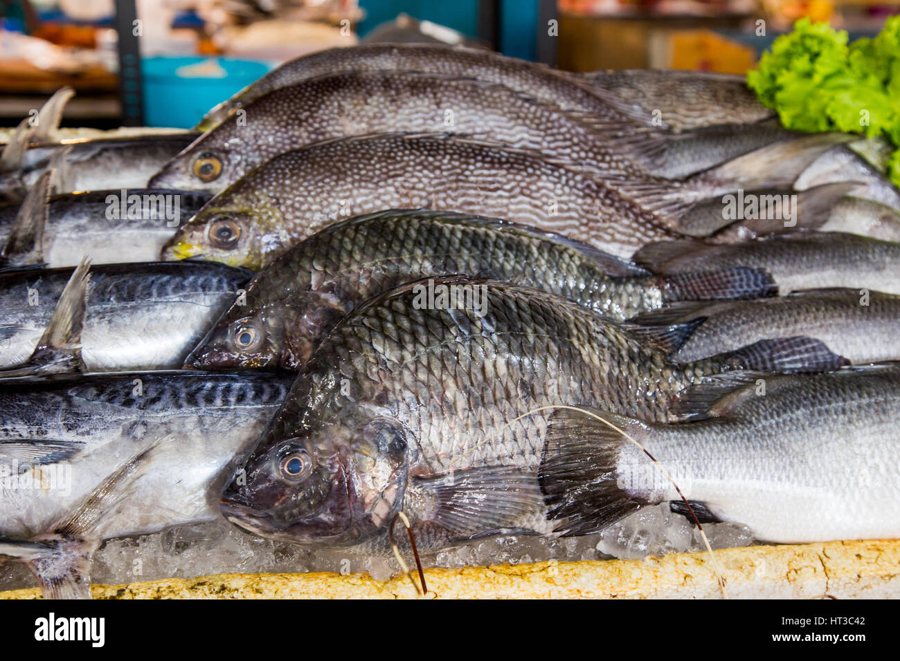 row of fish in the Asian market Stock Photo - Alamy
