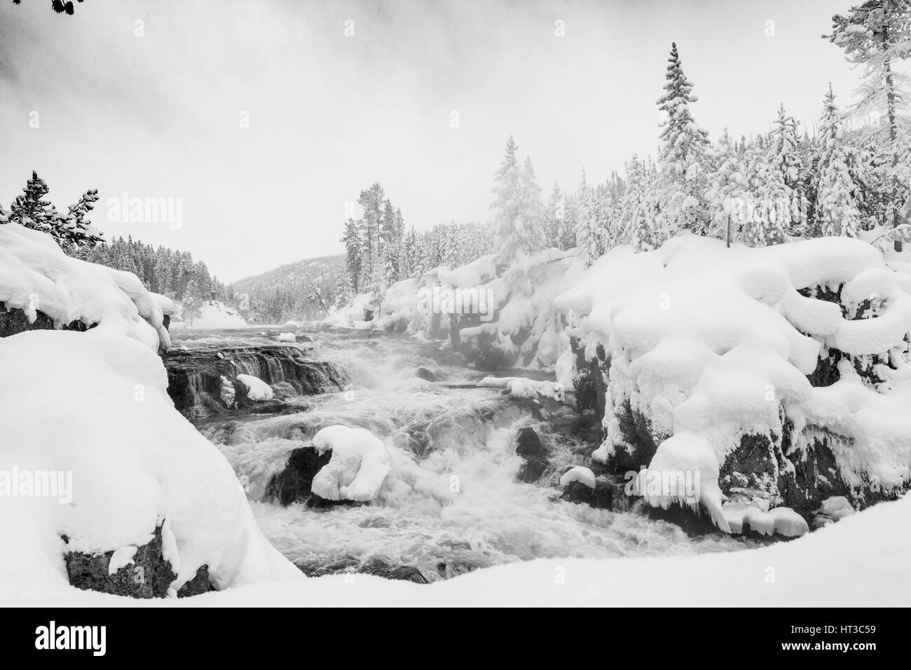 Yellowstone national park Black and White Stock Photos & Images - Alamy