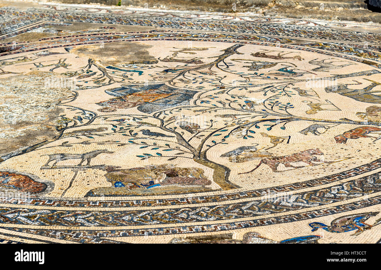 Ancient roman mosaic tree hi-res stock photography and images - Alamy