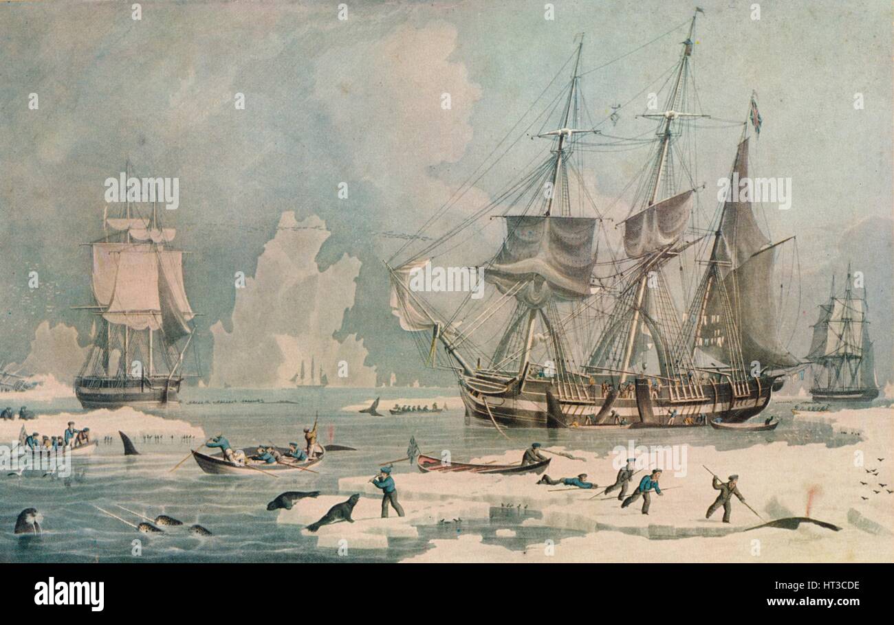 'Northern Whale Fishery', c1829. Artist: Edward Duncan Stock Photo - Alamy
