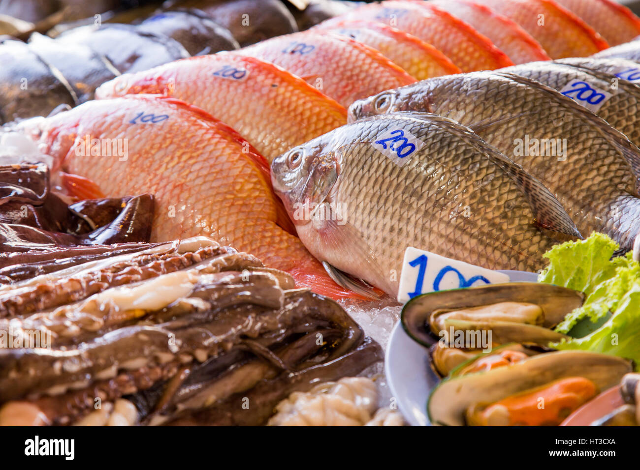 Row of fish hi-res stock photography and images - Alamy