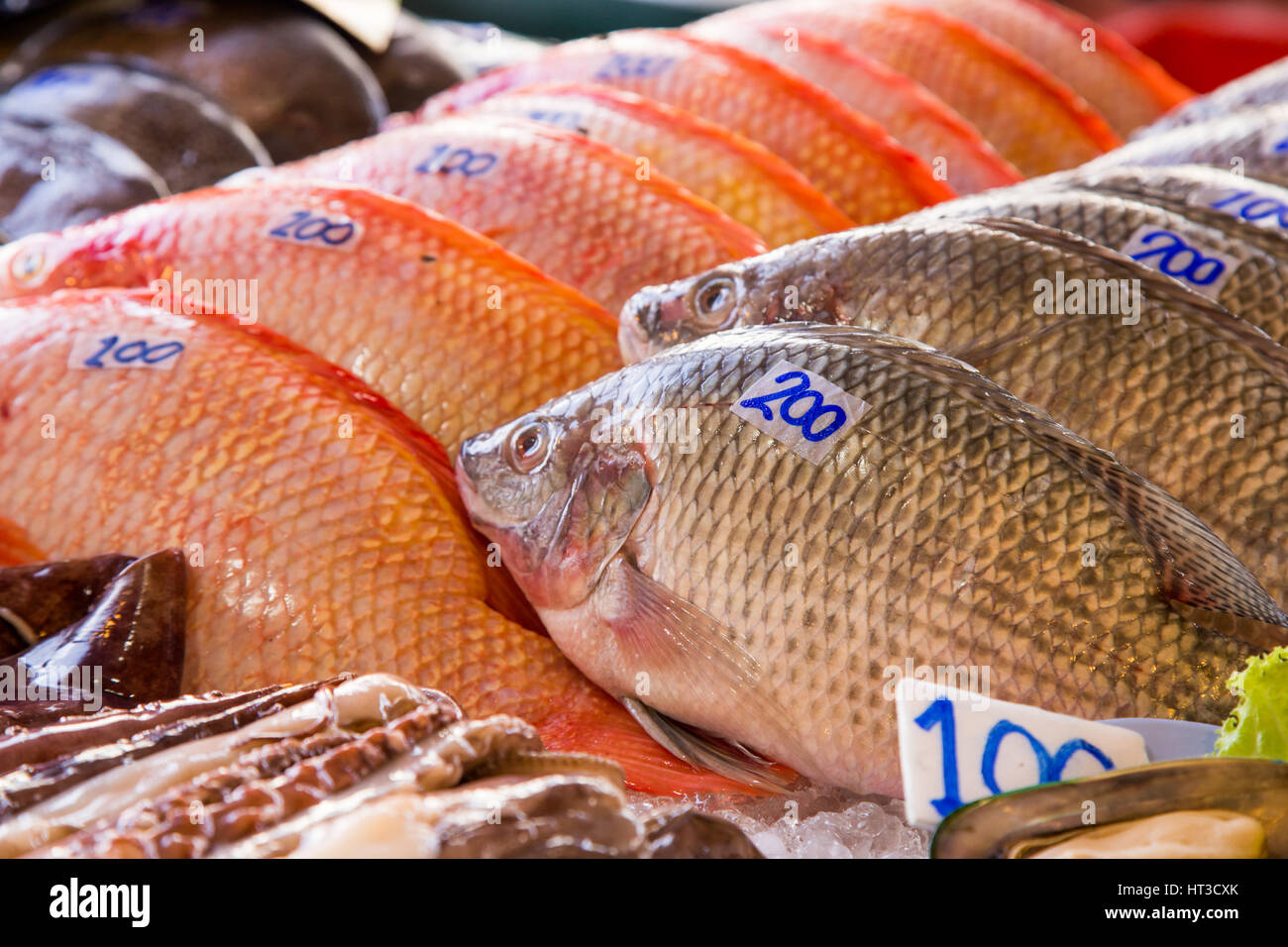 Row of fish hi-res stock photography and images - Alamy