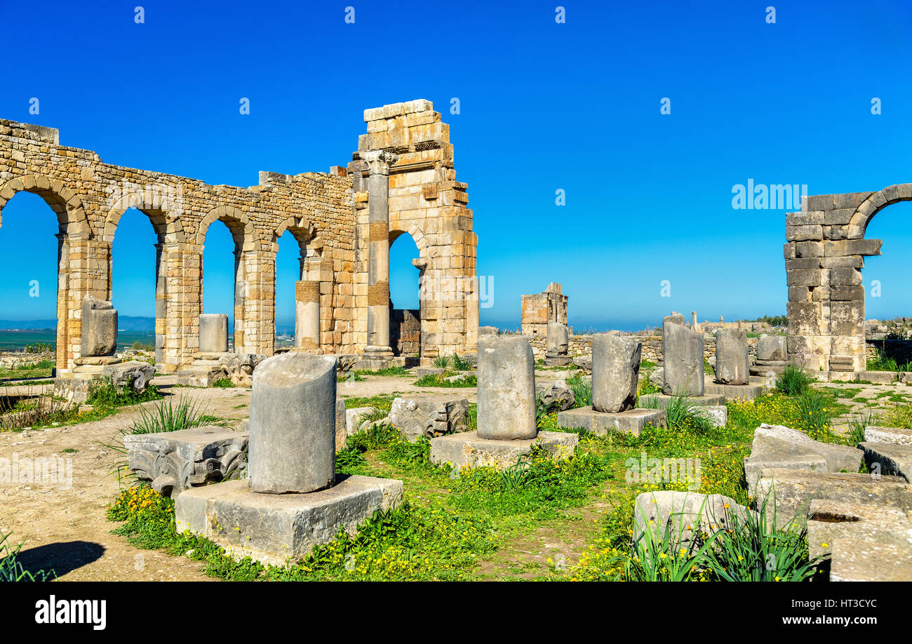 Ruins of a roman basilica at Volubilis, Morocco Stock Photo - Alamy